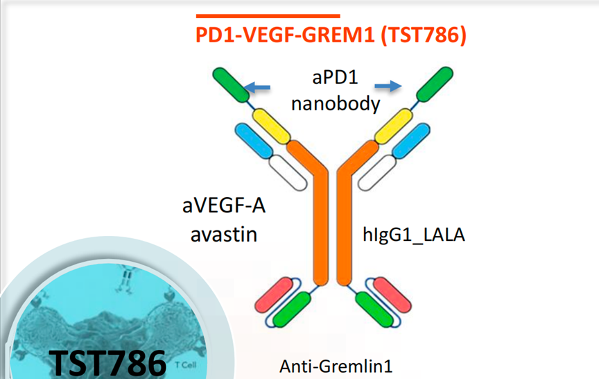 PD-(L)1/VEGF三抗越来越热闹了 - 知乎