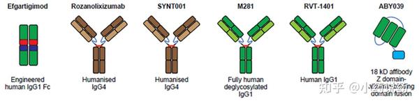 带你了解新生儿Fc受体（FcRn） - 知乎