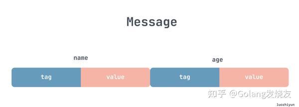 配图清新的Protobuf 编码&避坑指南 - 知乎