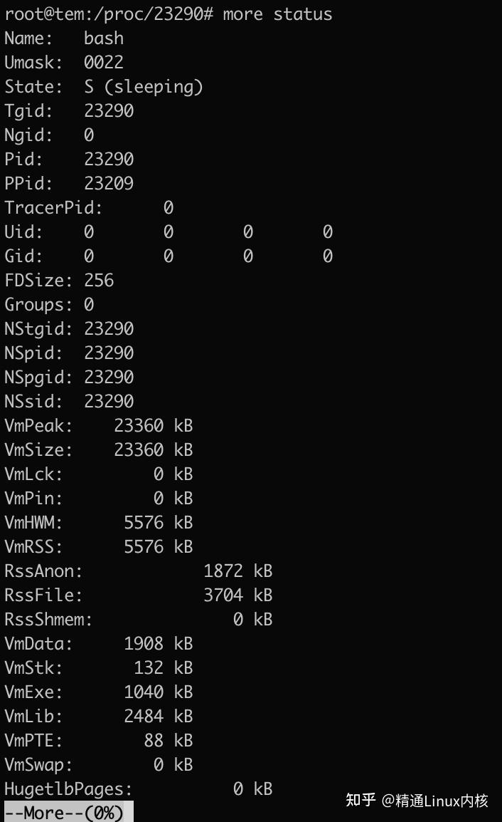 Linux内核：进程管理——进程文件系统 /proc详解 - 知乎