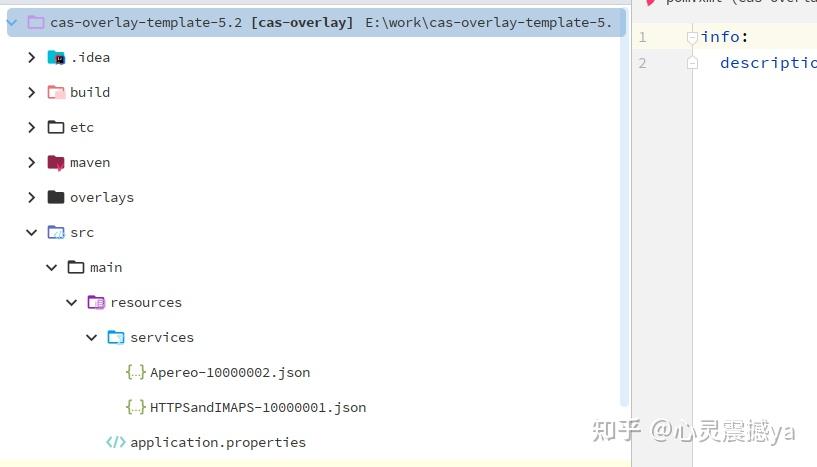小白也能看懂的CAS - 知乎