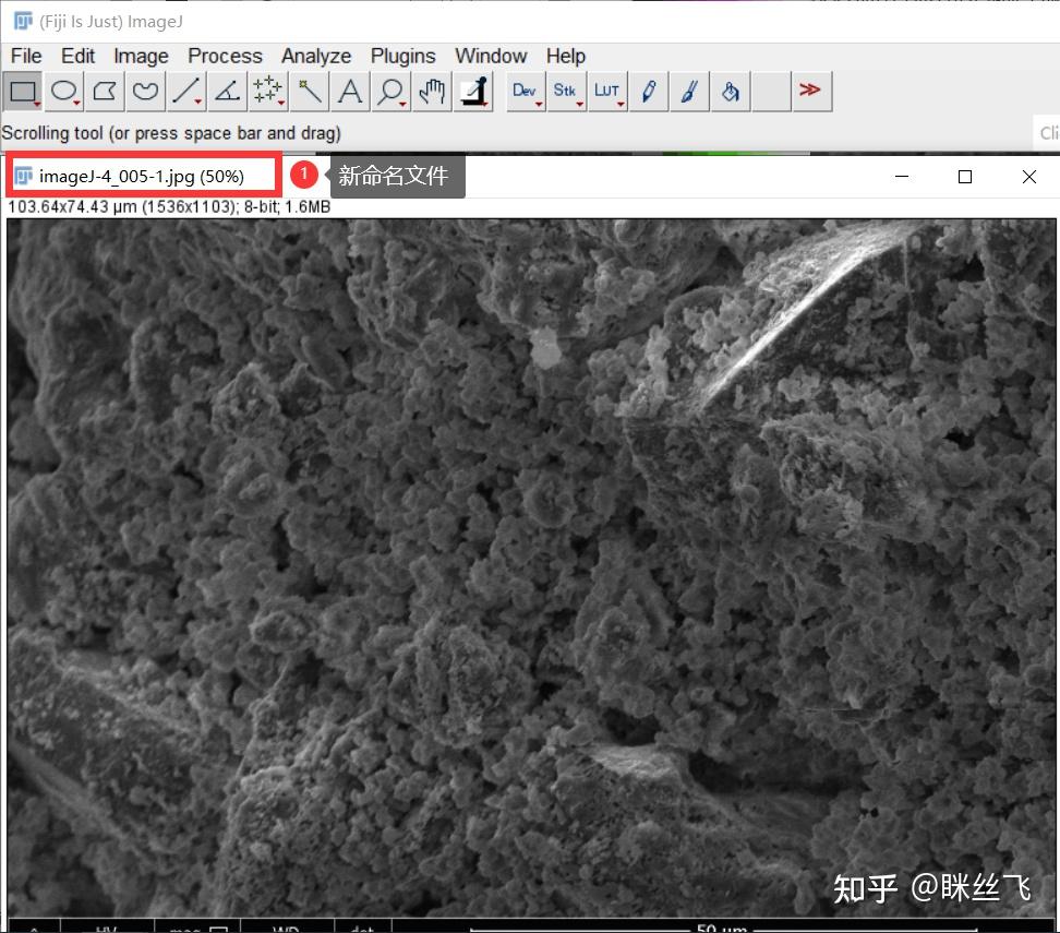 使用ImageJ给SEM图像加标尺！ - 知乎