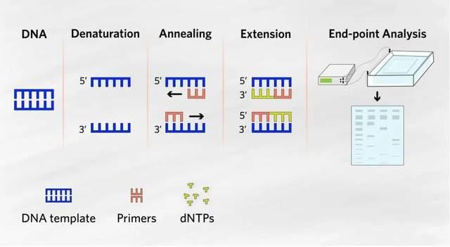 PCR实验故障排除：常见问题及其解决方法详解 - 知乎