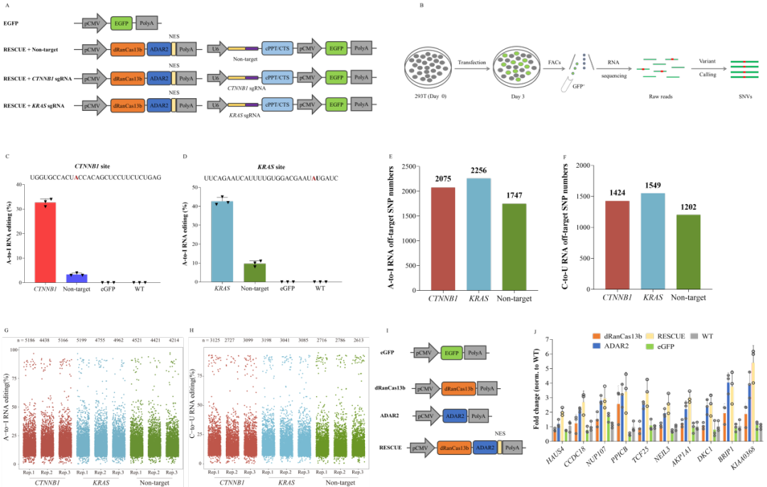 JMCB︱中国农大胡晓湘/浙大姚远课题组揭示RESCUE碱基编辑器的RNA脱靶效应 - 知乎