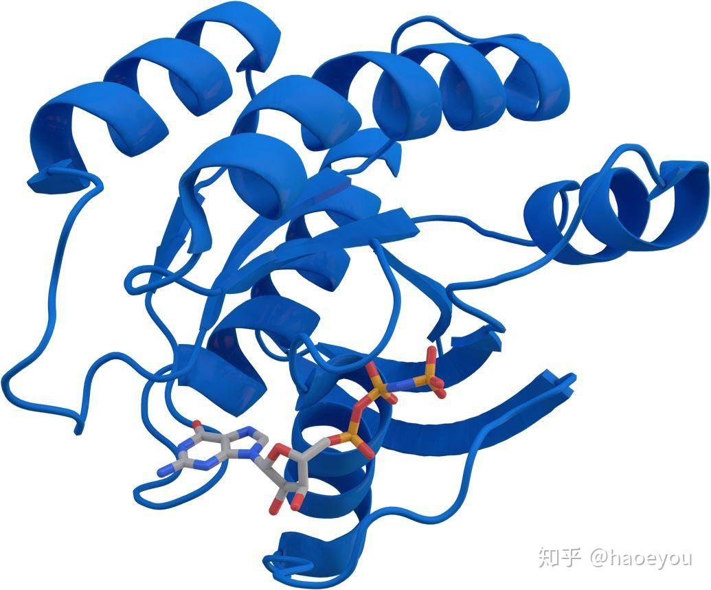 肠癌精准治疗新突破！KRAS G13D突变患者可用西妥昔单抗 - 知乎