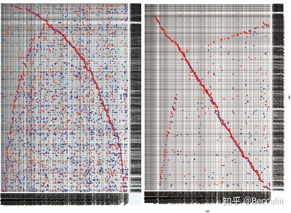 MUMmer- 全基因组比对神器 - 知乎