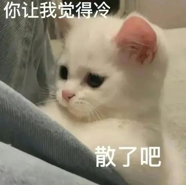 可爱的猫猫表情包 - 知乎