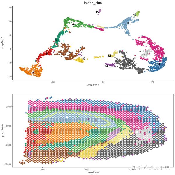 10X空间转录组分析回顾之Giotto - 知乎