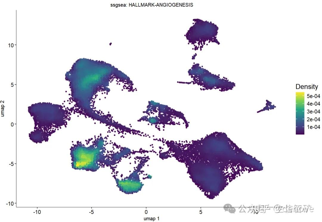 利用irGSEA给单细胞转录组进行通路富集打分 - 知乎