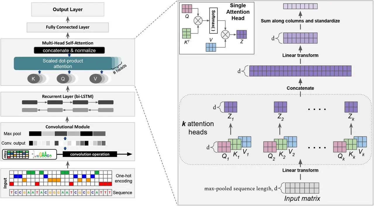 论文阅读: ZeRO-Infinity: Breaking the GPU Memory Wall for Extreme Scale Deep Learning - 知乎