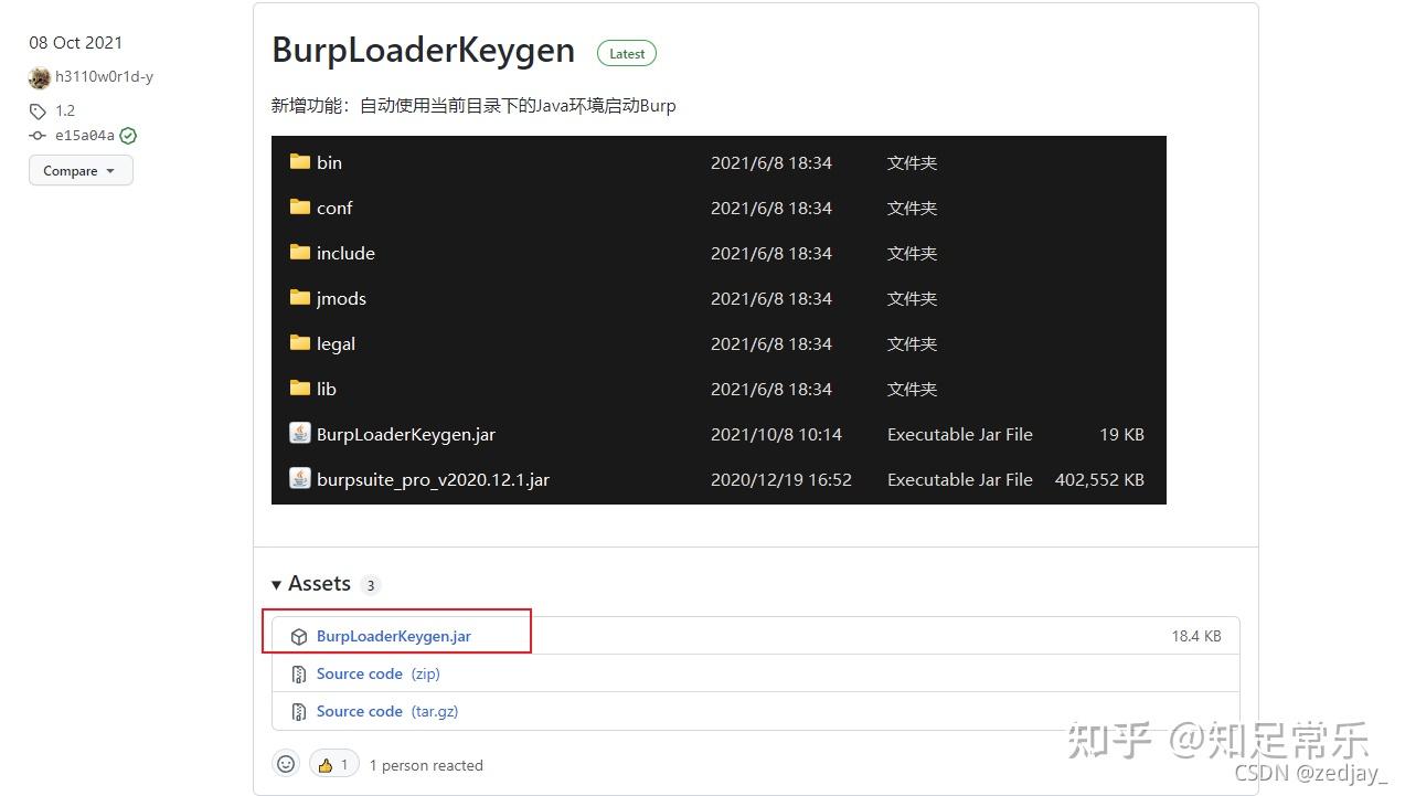 burpsuite破解使用教程 - 知乎