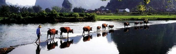 英语语法结构（342）句式：It seems/appears to be ...... 的三种可能 - 知乎