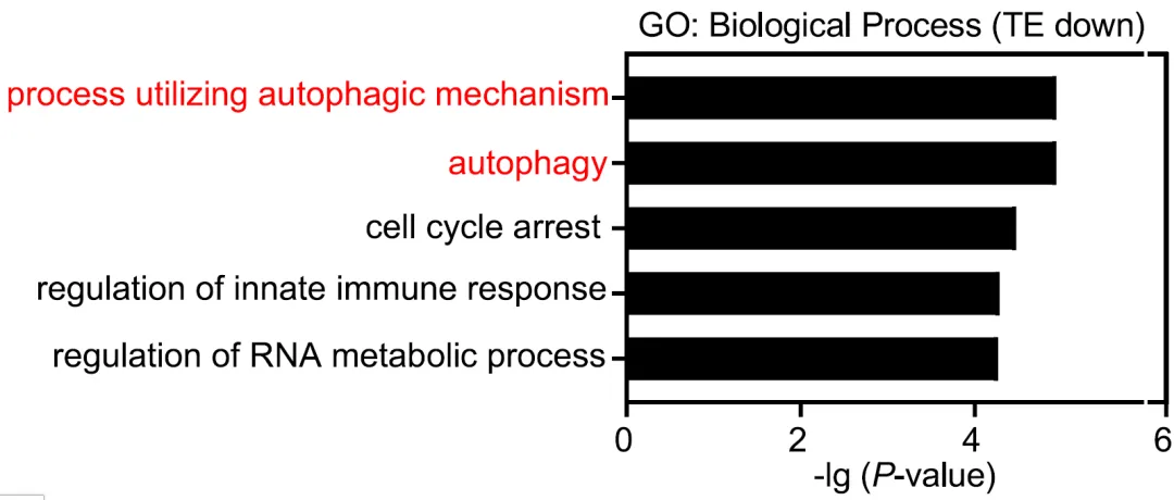 翻译组学测序研究利器|Ribo-seq&Polysome-seq - 知乎