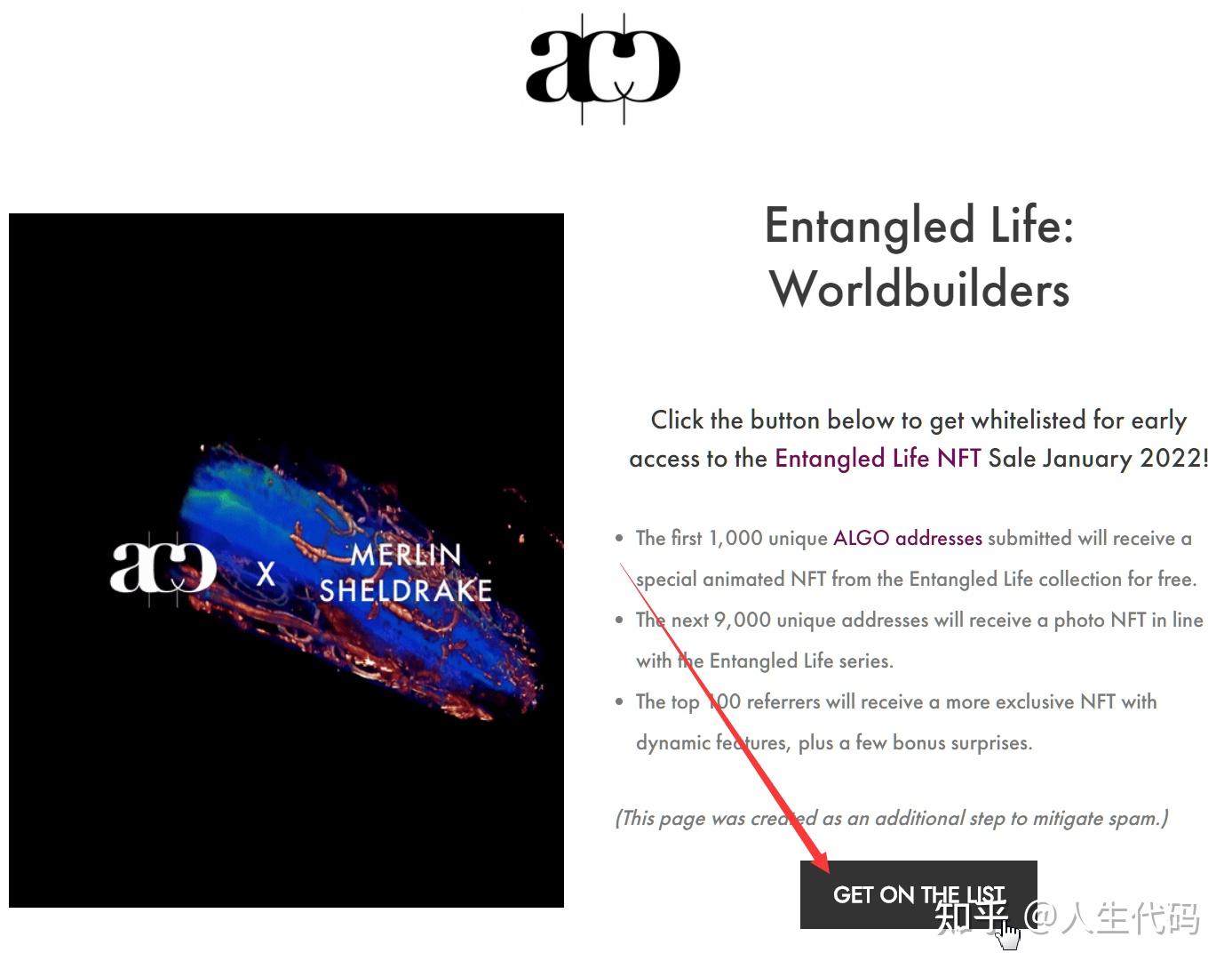 algo nft大毛 - 知乎