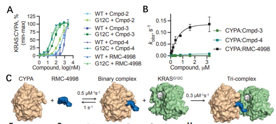 Science：靶向突变KRAS与分子伴侣蛋白的活性状态 - 知乎