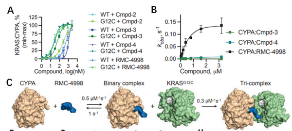 Science：靶向突变KRAS与分子伴侣蛋白的活性状态 - 知乎