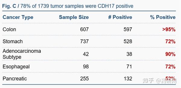 实体瘤靶点新秀：CDH17 - 知乎
