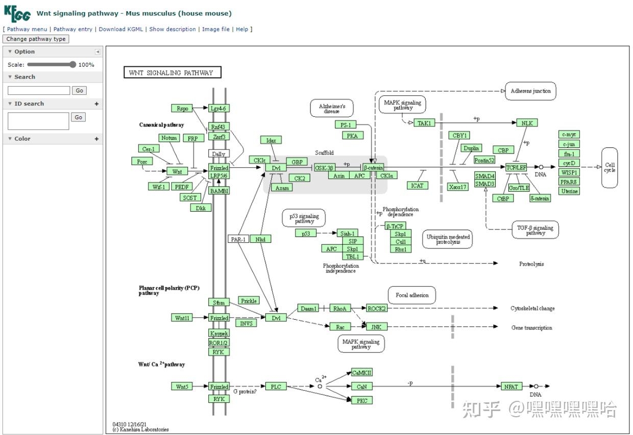RNA-seq入门实战（六）：GO、KEGG富集分析与enrichplot超全可视化攻略 - 知乎