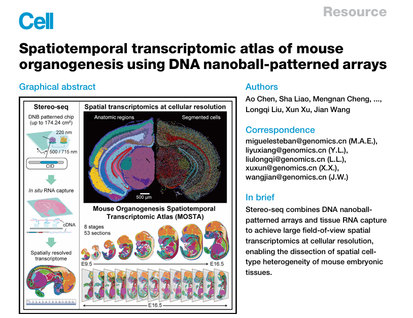 绘制生命蓝图：空间转录组技术正迎来发育研究的“黄金时代” - 知乎