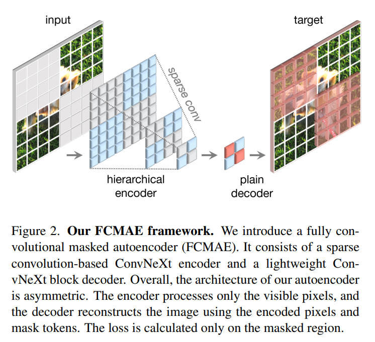 ConvNeXt V2来了，仅用最简单的卷积架构，性能不输Transformer - 知乎