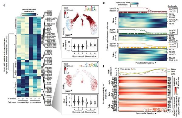 利用10x Genomics单细胞ATAC-Seq揭示糖尿病胰岛细胞类型和特异性调控机制 - 知乎