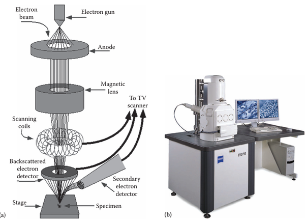 电子扫描显微镜介绍（Introduction of SEM) - 知乎