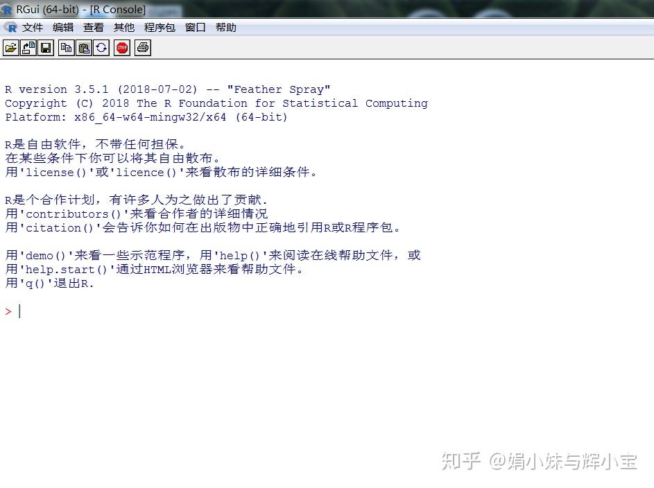 R语言初级教程(01): R编程环境的搭建 - 知乎
