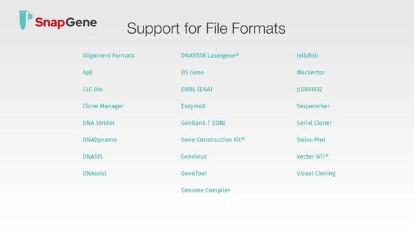 SnapGene 初学者指南 | 如何创建、打开、导入文件 - 知乎