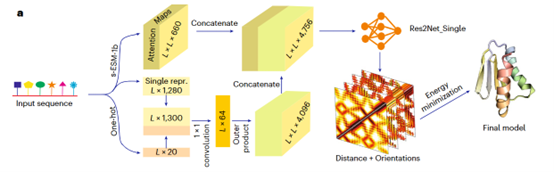 Nat. Comput. Sci. | 使用有监督的Transformer蛋白质语言模型进行单序列蛋白质结构预测 - 知乎