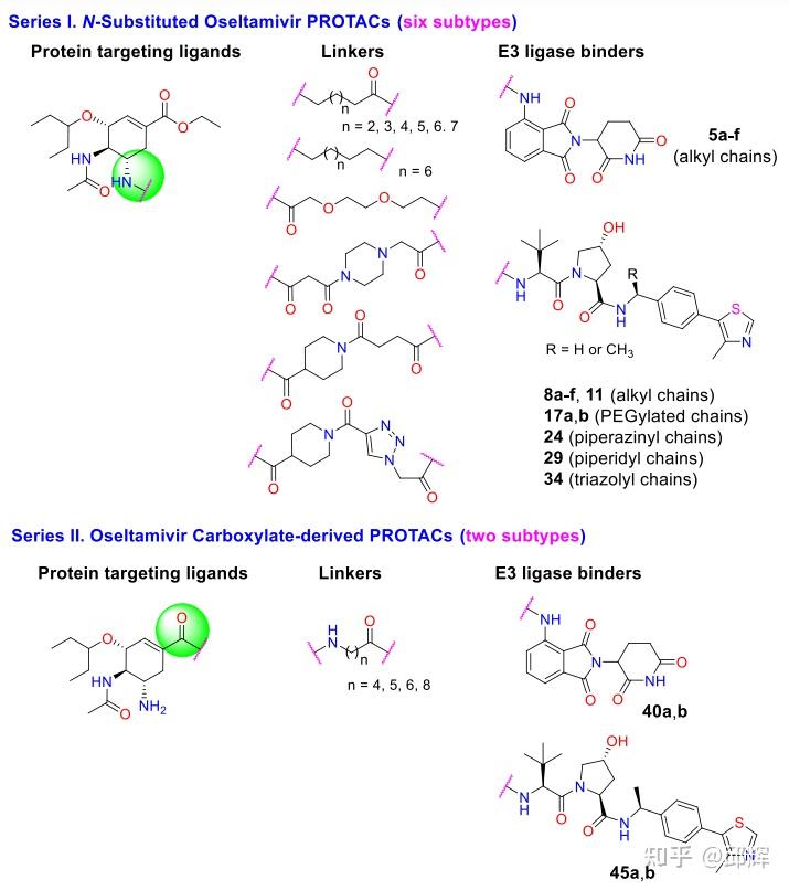 下一代抗病毒药物——PROTAC - 知乎