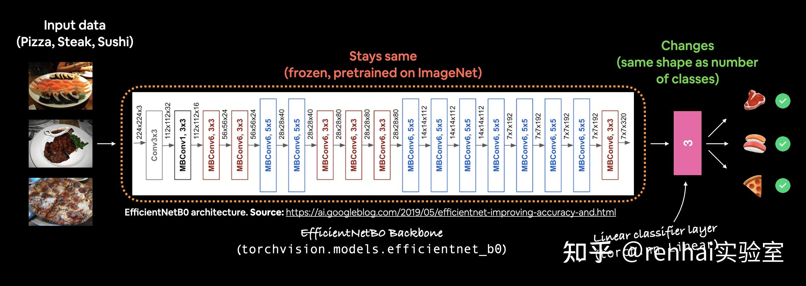 06 Pytorch迁移学习:在预训练模型上进行训练【pytorch 深度学习系列】 知乎