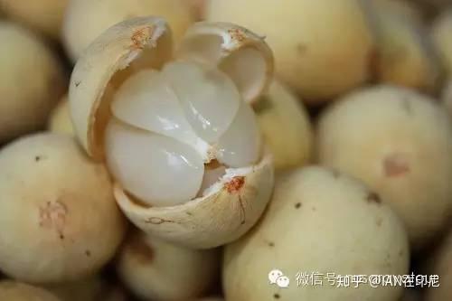 印尼：热带水果天堂 - 知乎