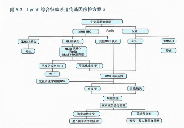 胰腺癌患者2B3D-MSI应检尽检，高效筛查Lynch综合征 - 知乎