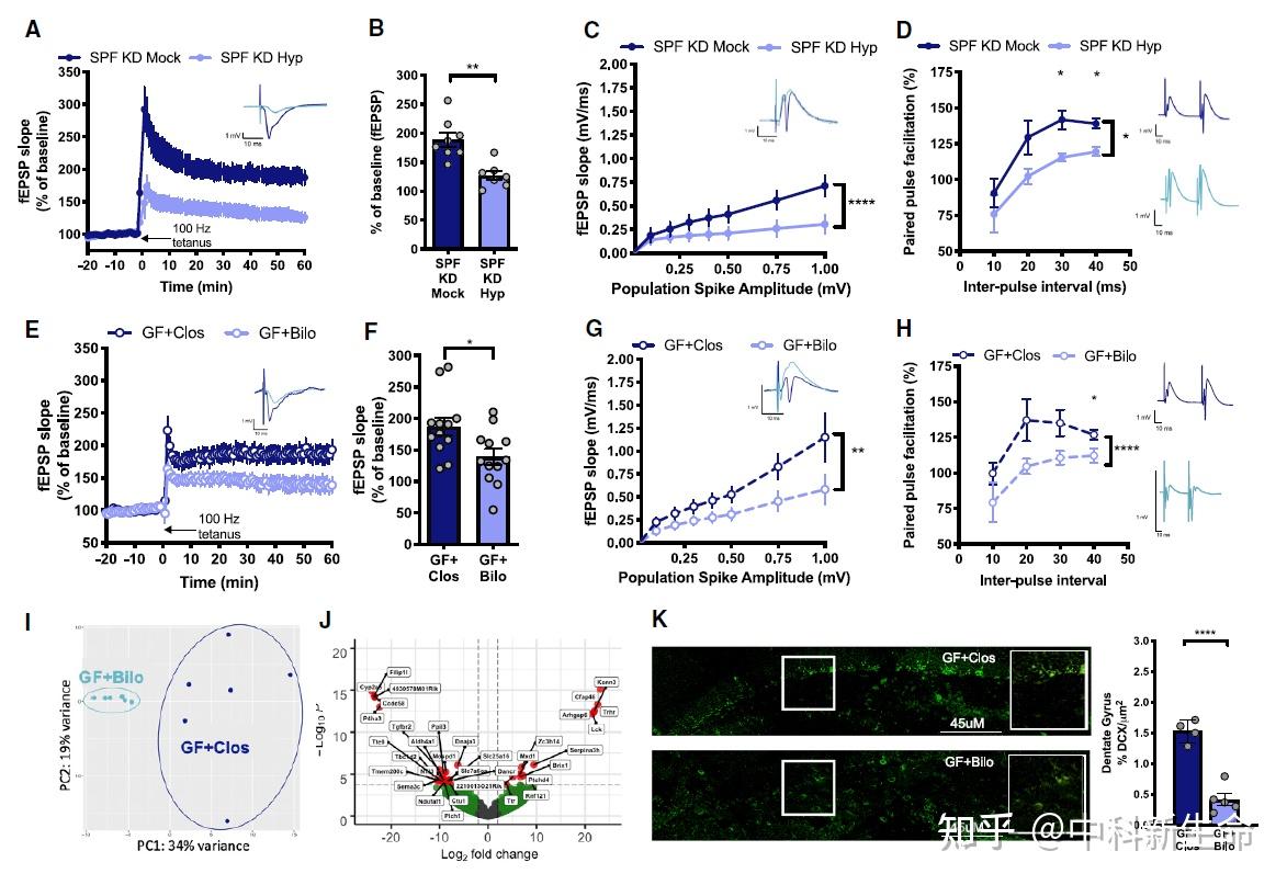 Cell Host Microbe（IF 21.023）| 肠道菌群-免疫系统：肠道菌群的改变促进认知障碍 - 知乎