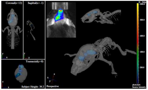 IVIS 活体光学成像技术概述-上海玮驰仪器有限公司
