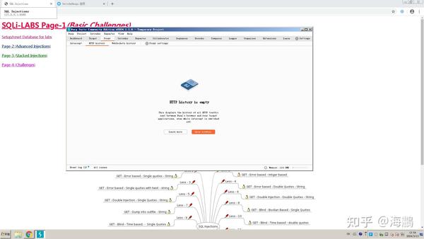 揭秘Brup Suite轻松捕捉本地数据包技巧，127.0.0.1/localhost域名（地址）抓包方法，chrome与edge抓包失败原因解析 - 知乎