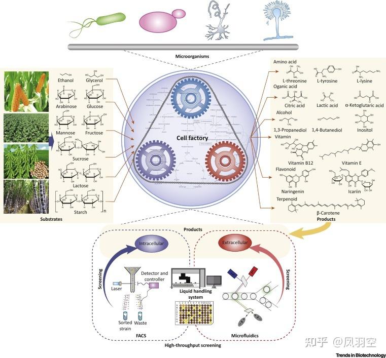 High-throughput screening(HTS) - 知乎