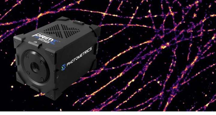 背照式sCMOS的胜利 —— Prime 95B 在单分子定位超分辨显微成像中的应用 - 知乎