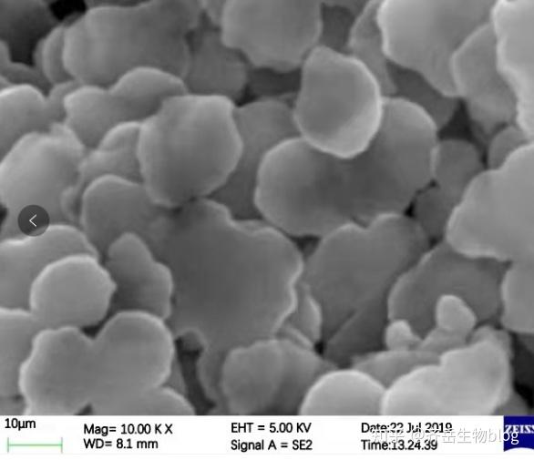 齐岳-片状金属铝粉/球形铝粉AL 50nm/80nm/1um 粒径可调 - 知乎