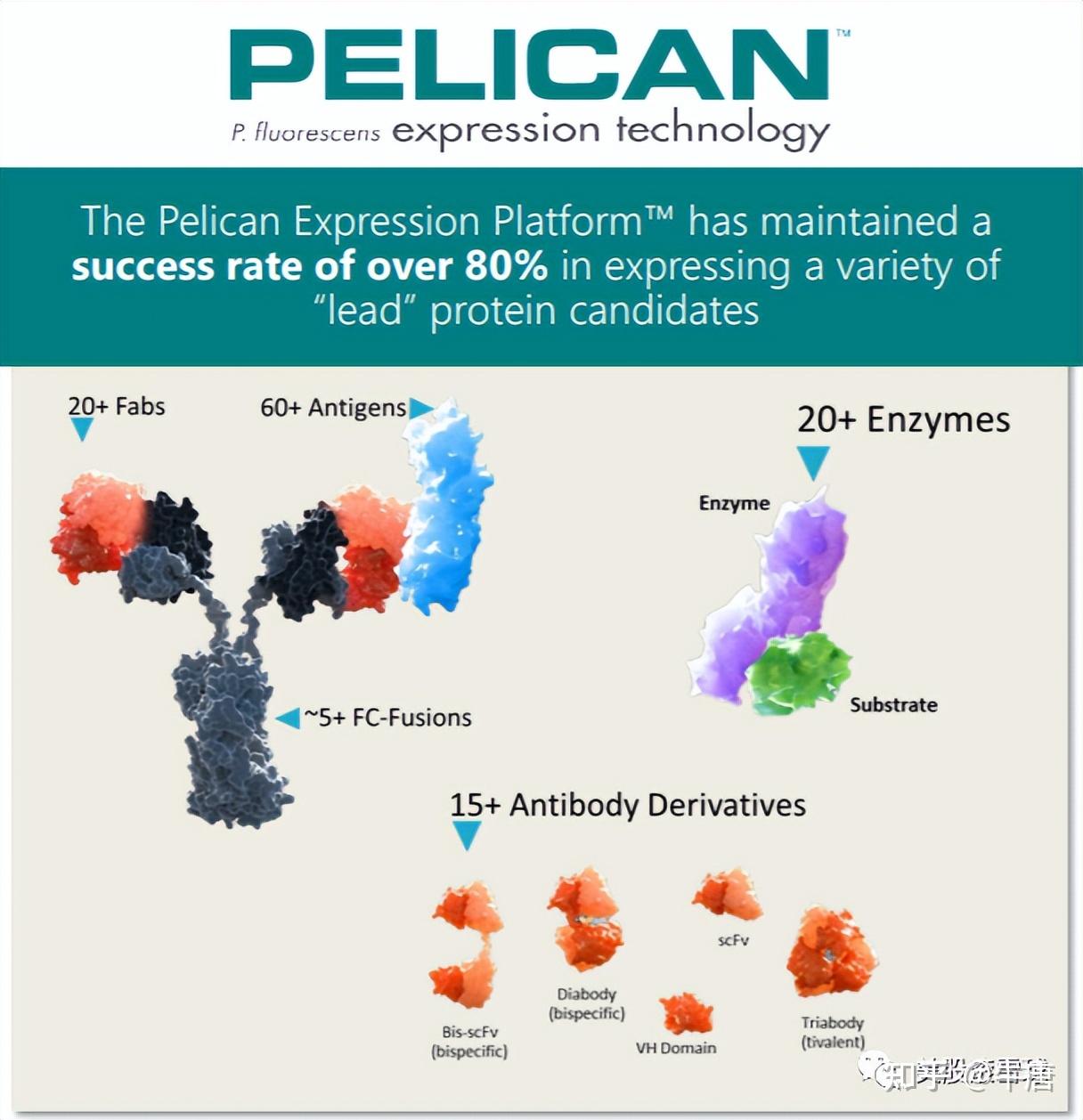 海外生物医药投资新模式：license-out模式 - 知乎