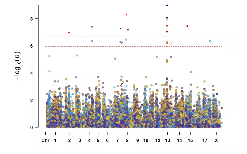 R语言学习笔记（五）——曼哈顿图 - 知乎