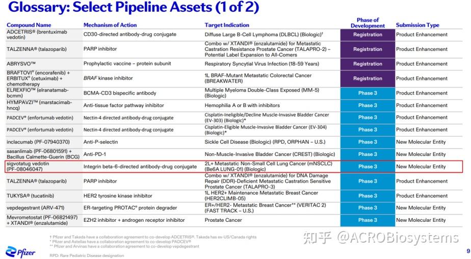 【前沿进展】Integrin αvβ6 ADC疗法实体瘤研究取得突破 - 知乎