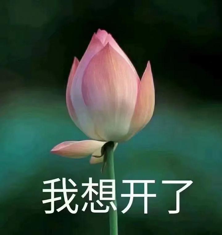 emo了怎么办？ - 知乎