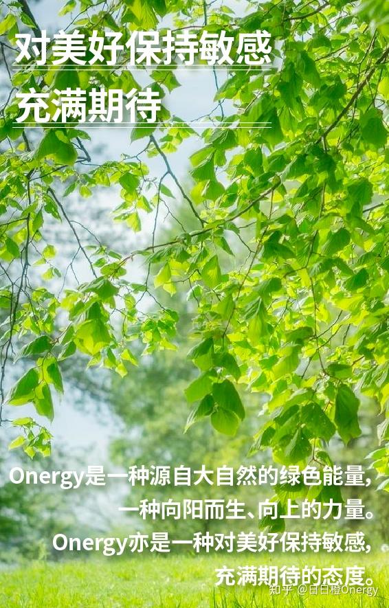 日日橙Onergy背后的故事 - 知乎