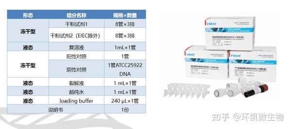 GB4789-6-2016 致泻大肠埃希氏菌检验及注意事项 - 知乎