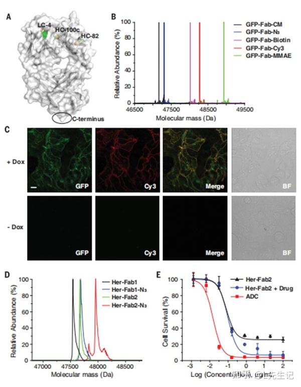 [science]甲硫氨酸氧化修饰 - 知乎