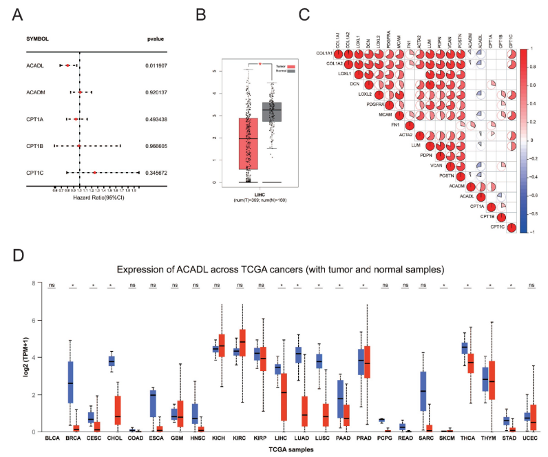 Q1区10分+单细胞联合bulk RNA！聚焦热点方向“代谢”，打造生信分析文章新高度！ - 知乎