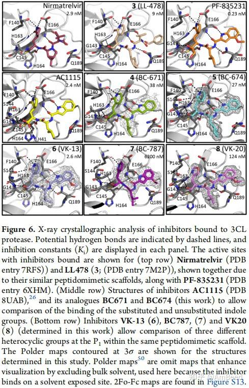 AmBeed助力得克萨斯大学Audrey L. Lamb & 得克萨斯农工大学Thomas D. Meek团队在JACS（IF=14.5）上 ...