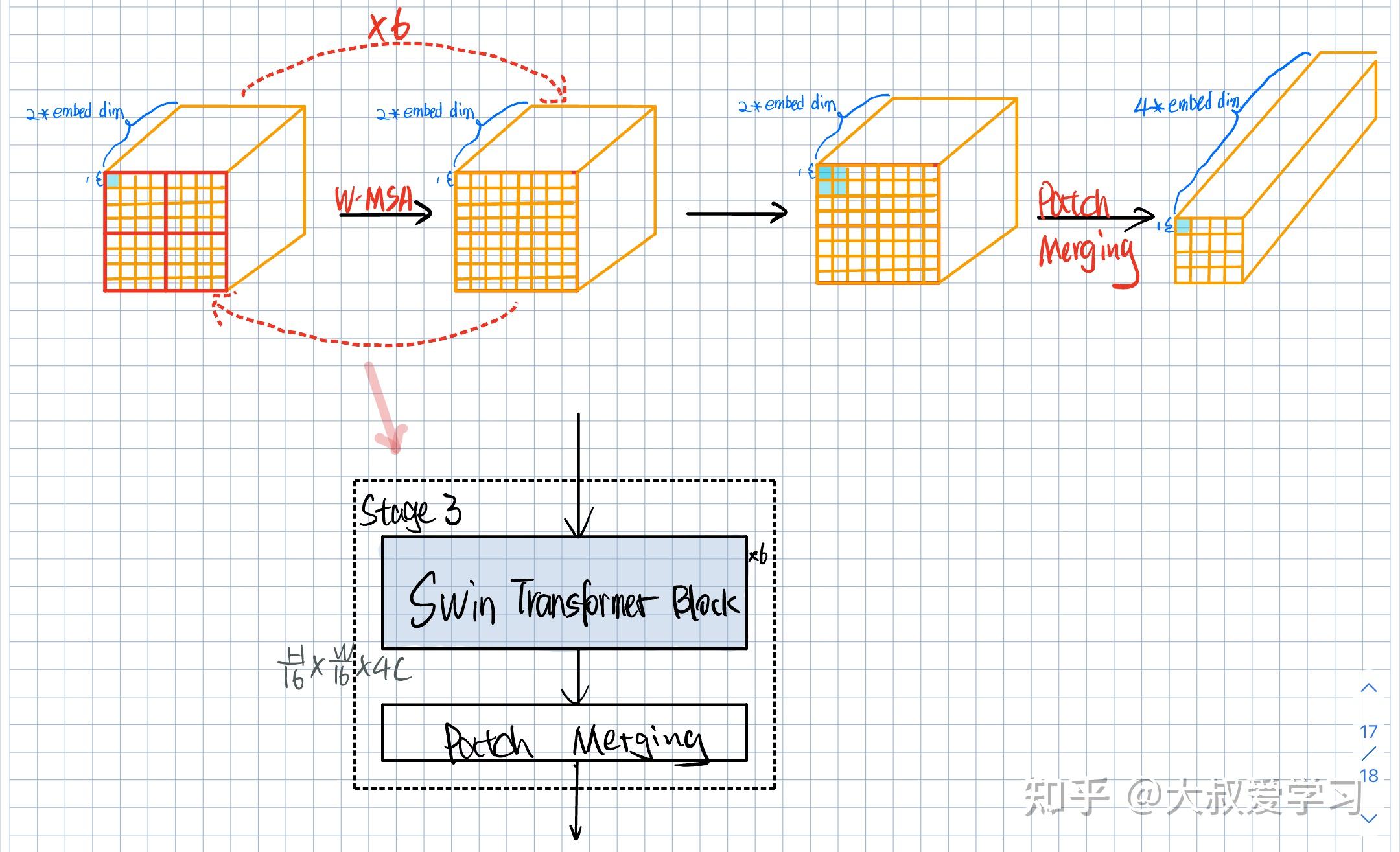 图解+代码 Swin Transformer 1: W-MSA和Patch Merging - 知乎