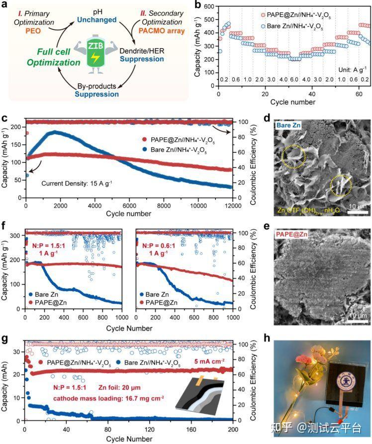 西安交通大学院长丁书江团队，最新Angew！ - 知乎